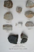 Display of rock and mineral resources | Natural History Magazine